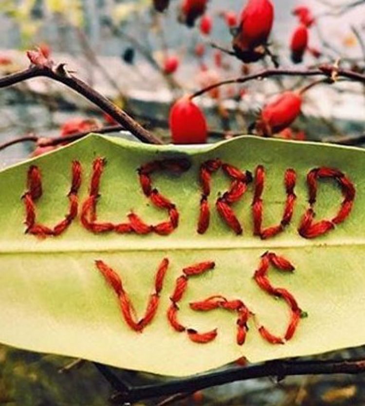 Velkommen til Ulsrud!